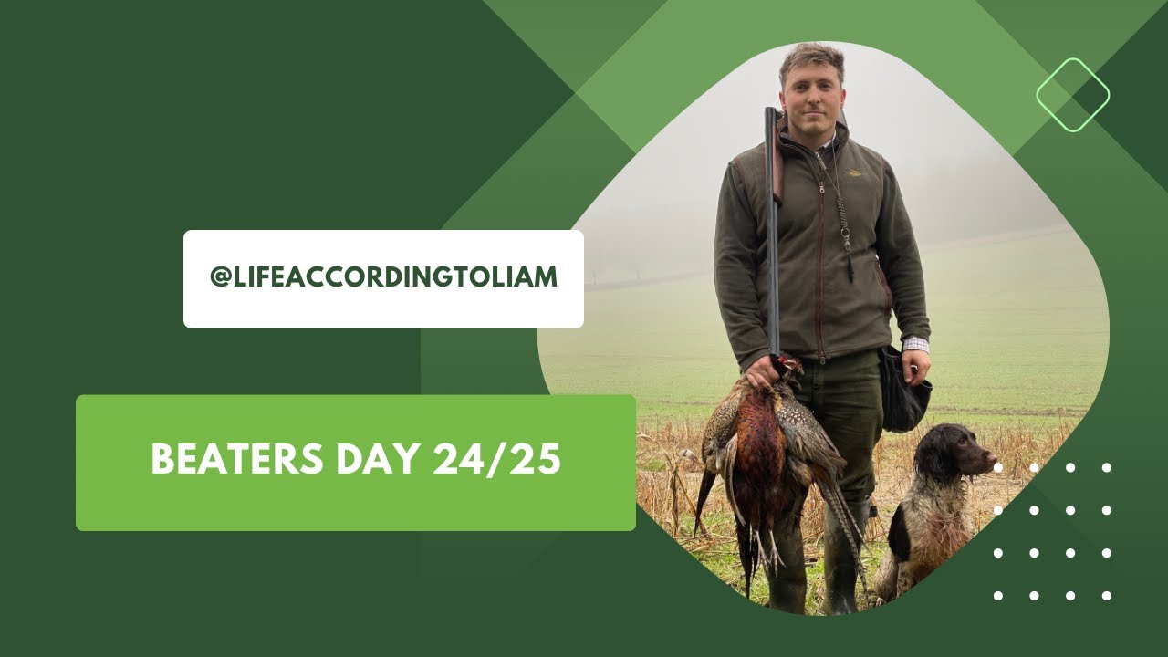 2024/25 Pheasant Shooting Beaters Day - YouTube