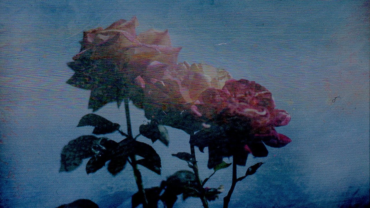 Alma Rosa - The Beginning of a Dream, Pt. 2 - YouTube