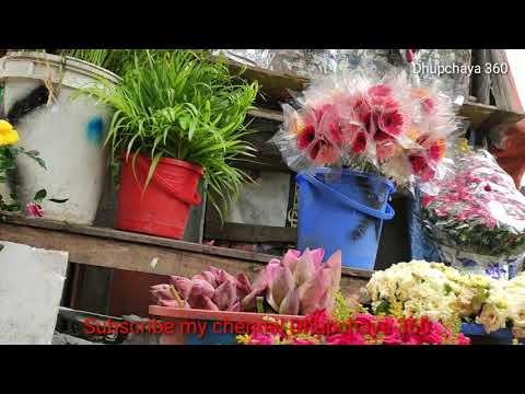Flower Shop Shahbag ll শাহাবাগ ফুলের মারকেট ll Flower Decoration - YouTube