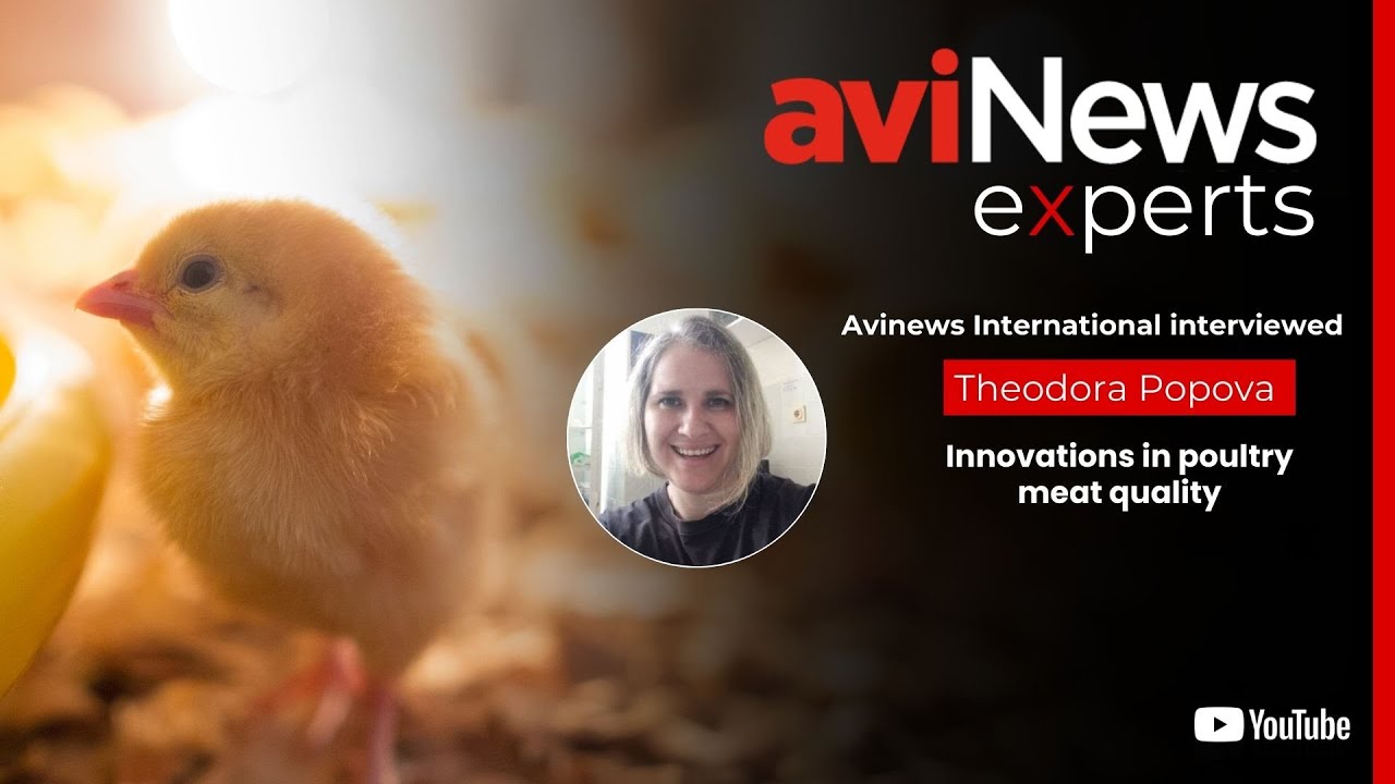 Avinews International interviewed Teodora Popova at International ...