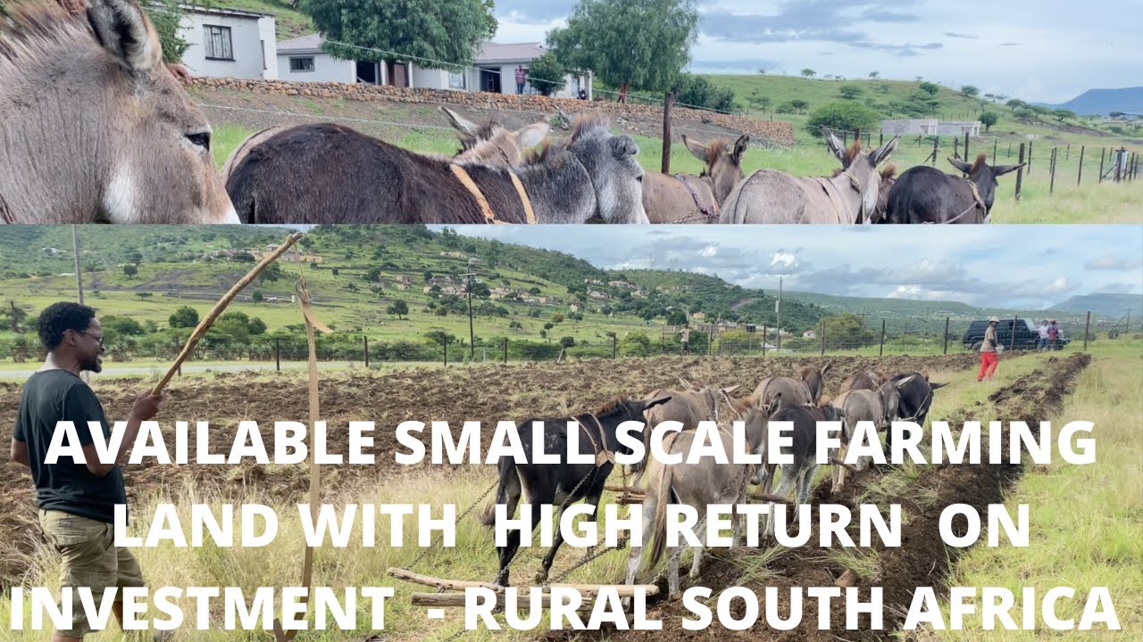 Available small scale farming land with high return on investment Rural ...