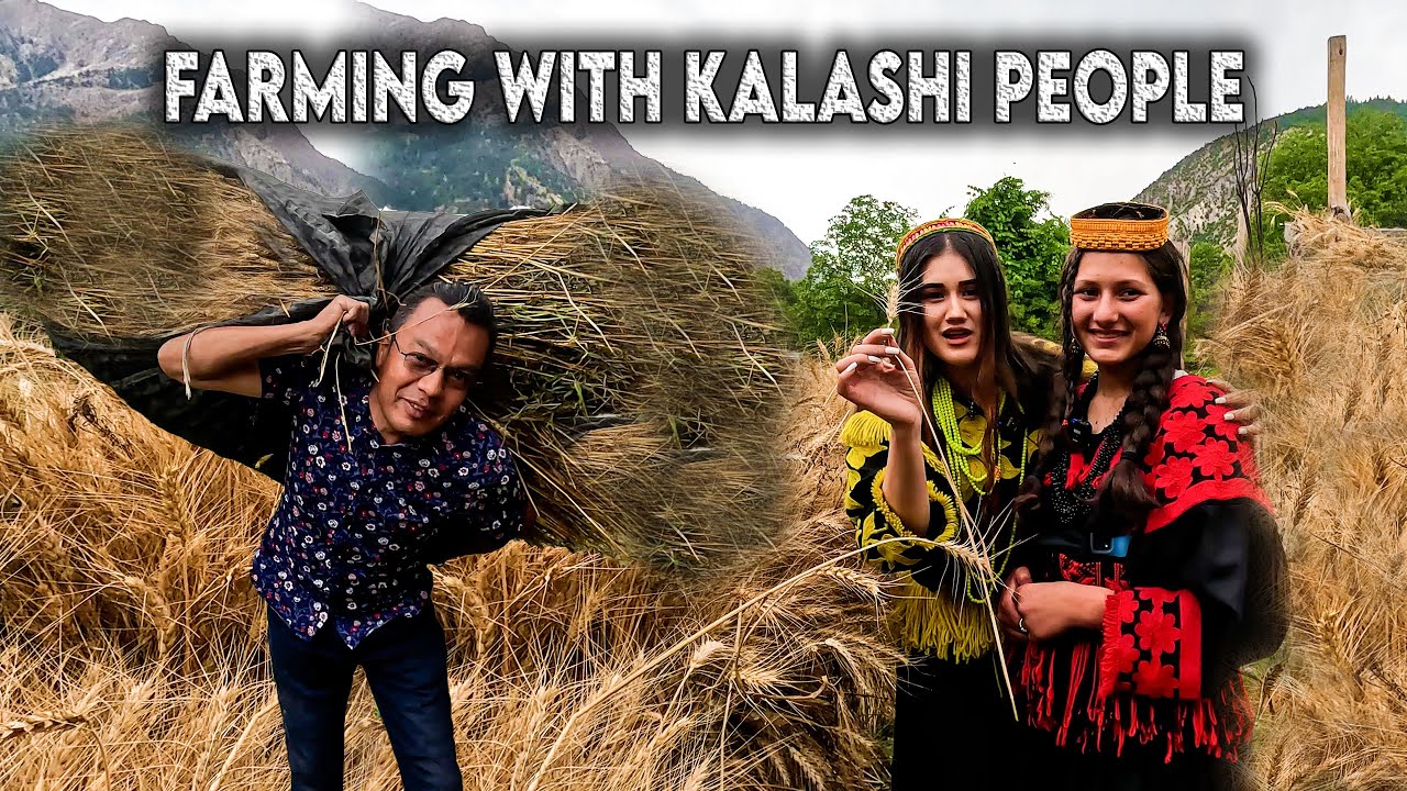 Sarwari Farming With The People of Kalash Valley - YouTube