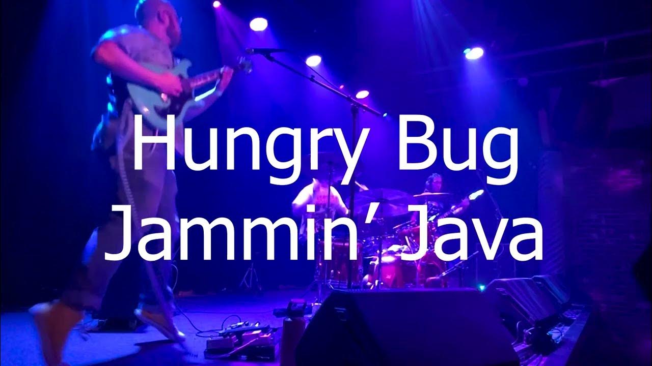 HUNGRY BUG - JAMMIN' JAVA - 01/10/2024 - YouTube