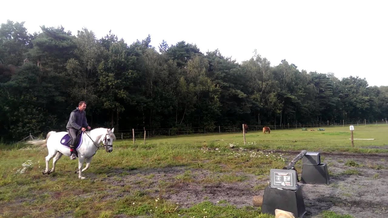 paarden sprong met val - YouTube
