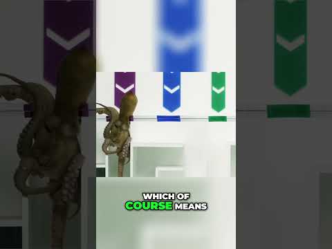 Masters of Disguise: The Incredible Tricks of Octopuses - YouTube