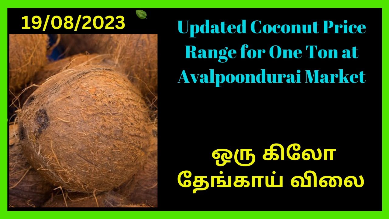 19/08/2023 Updated Coconut Price Range for One Ton at Avalpoondurai ...
