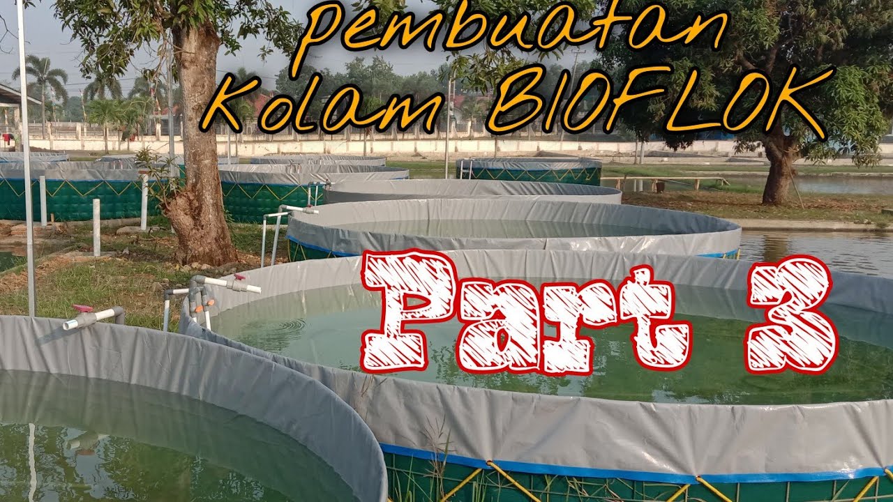 Pembuatan kolam BIOFLOK || Part 3 - YouTube