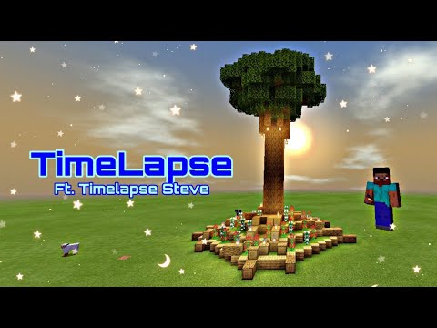 Minecraft Timelapse : Large Tree ft.Timelapse Steve [Satisfying] - YouTube
