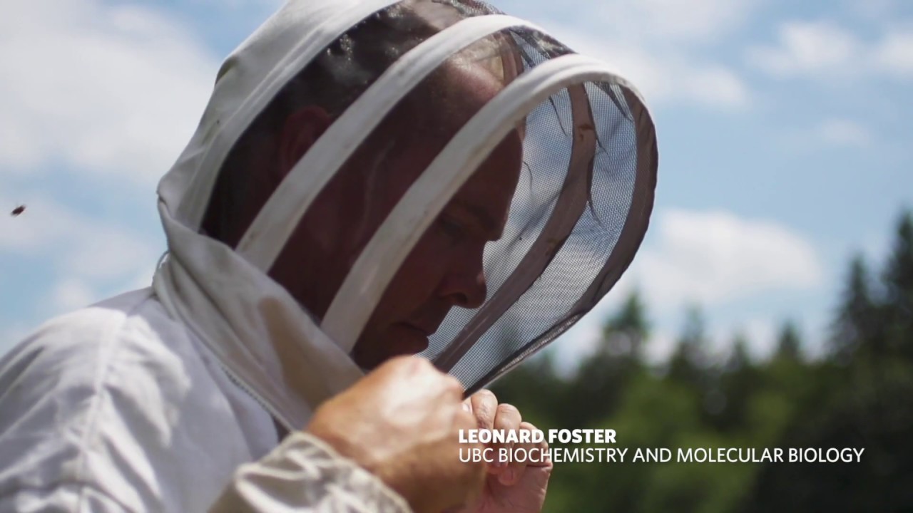 Of Bees and Proteins - YouTube