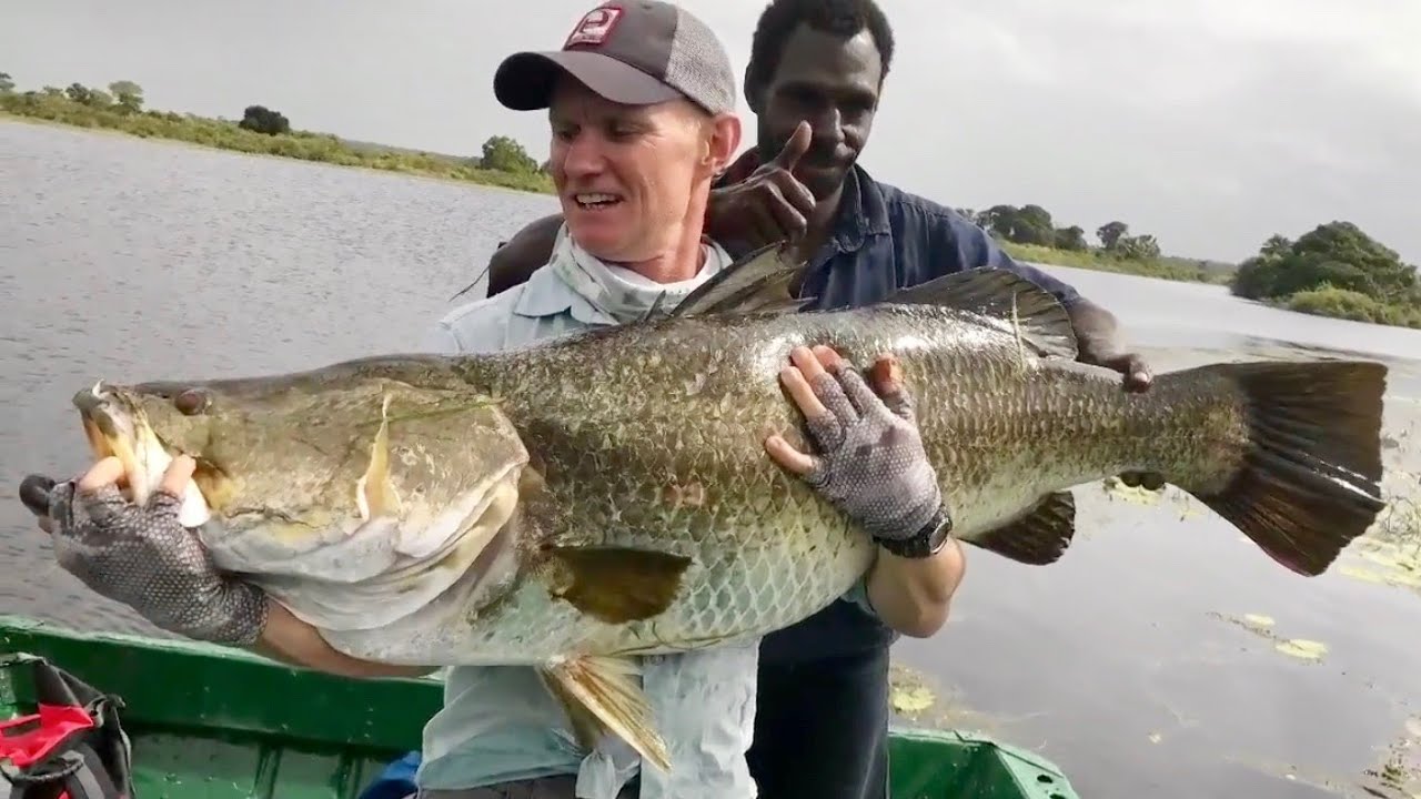 Monster Barramundi From The Bensbach River PNG - YouTube