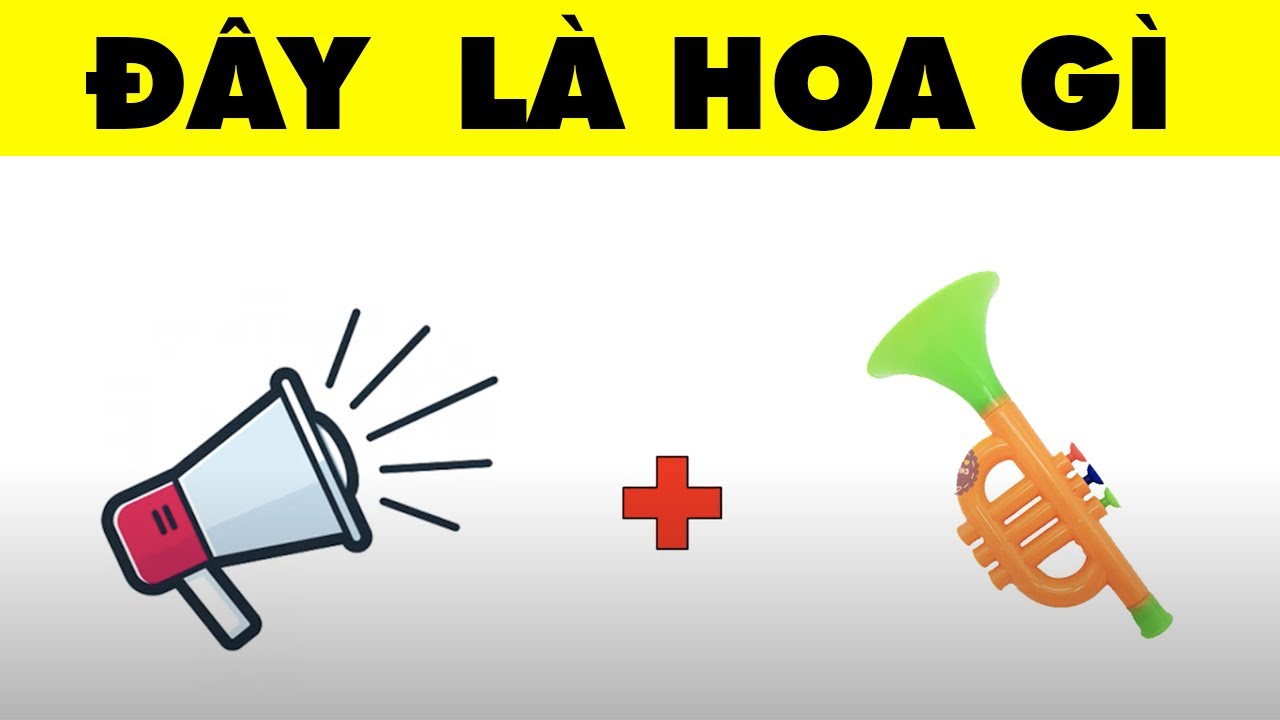 Câu Đố Vui Đuổi Hình Bắt Chữ Thử Thách Đoán Tên Các Loài Hoa Qua Hình ...