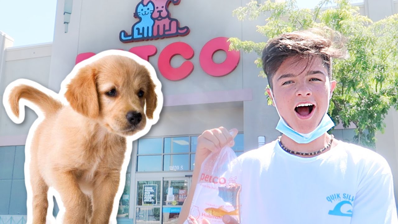 BUYING A NEW PET - YouTube
