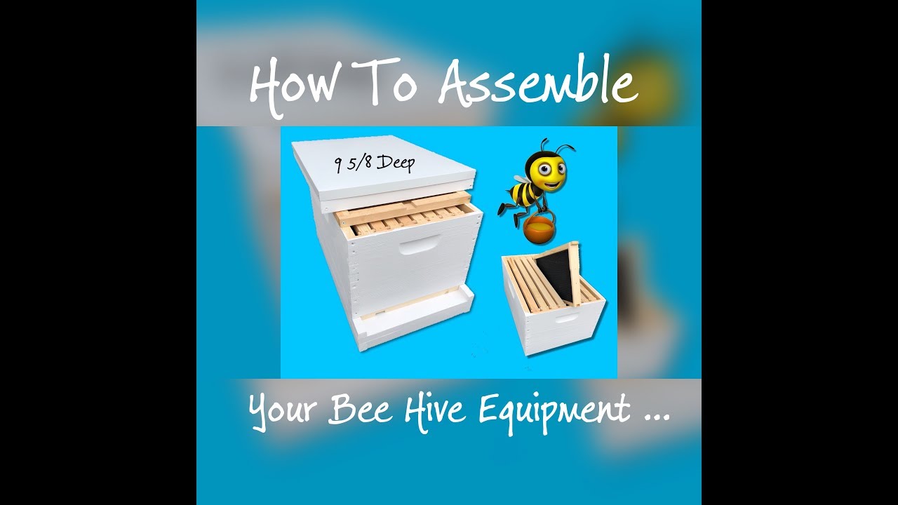 How-To Assemble Bee Hive Boxes, Frames & Foundations - YouTube