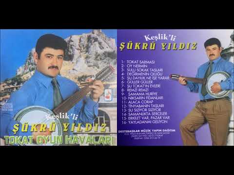Tokatlı Şükrü Yıldız - Samanlıkta Serçeler