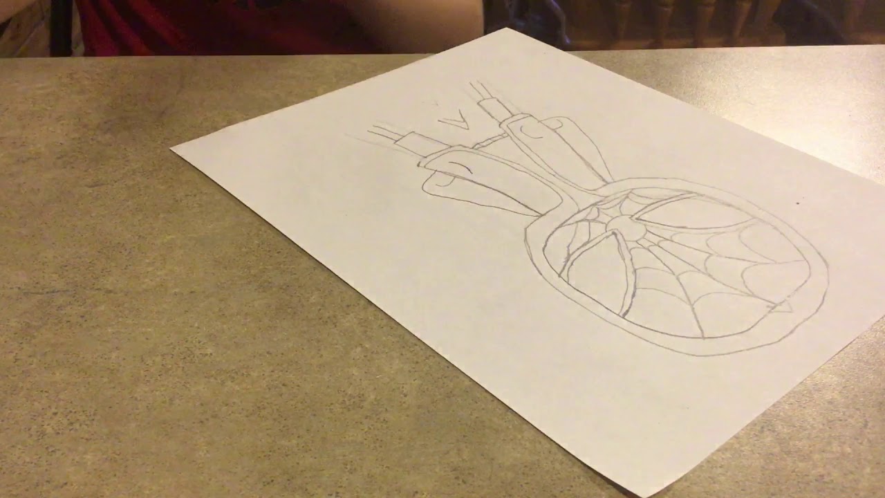 Kade draws Spider-Man - YouTube