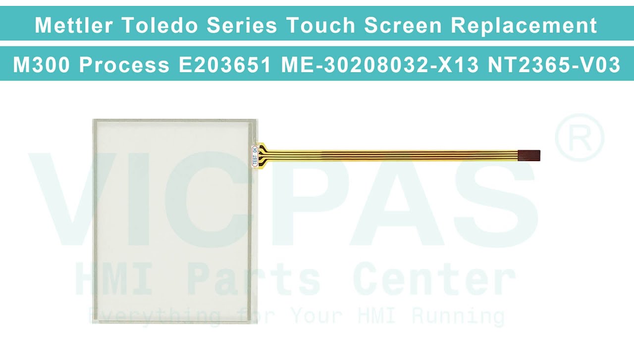 M300 Process E203651 ME-30208032-X13 NT2365-V03 Mettler-Toledo Touch ...