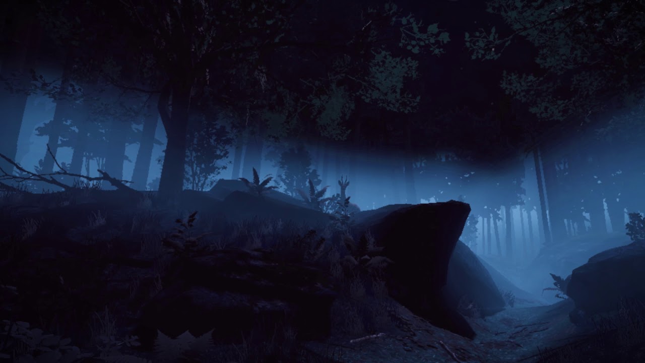 VR Forest for the National Park | 4Experience - YouTube