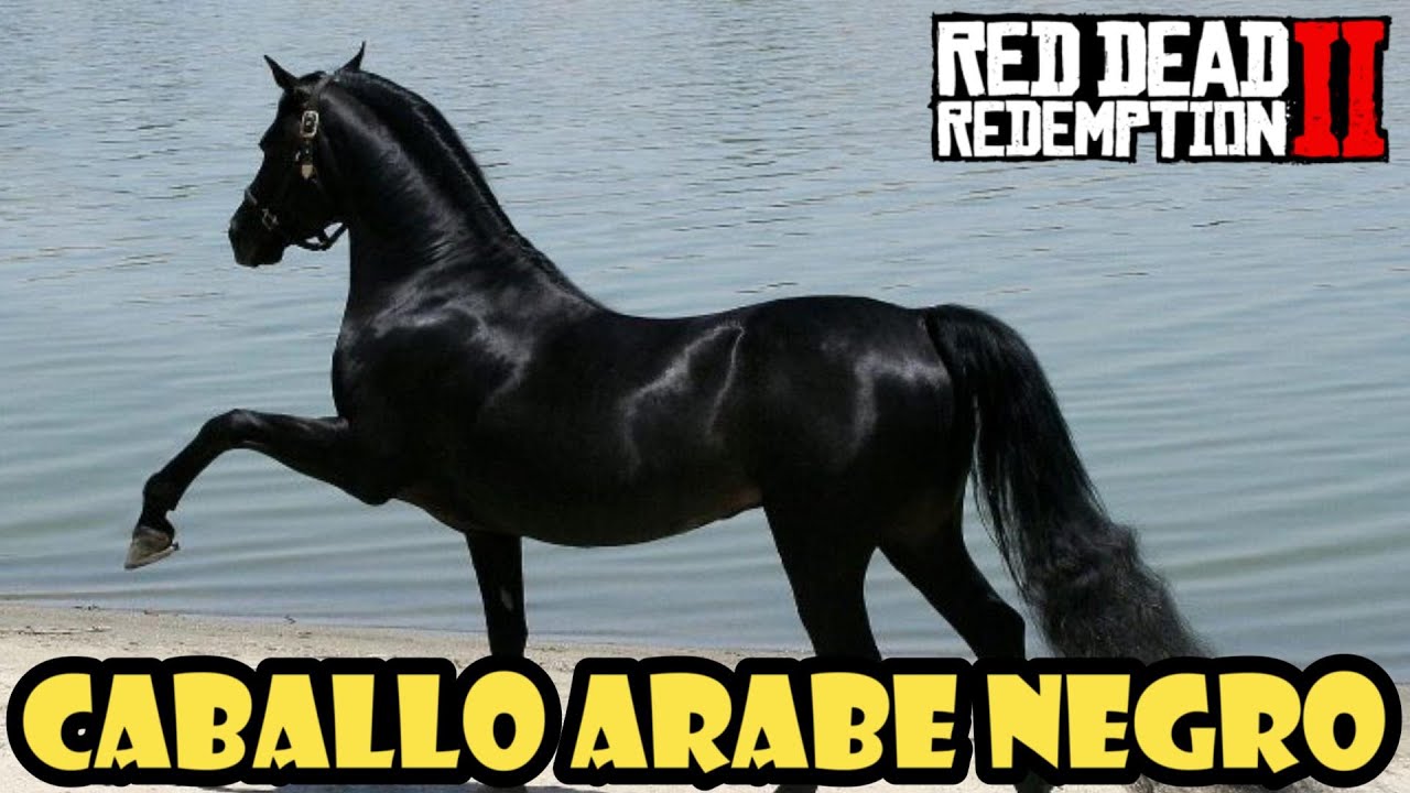 Como conseguir el caballo ÁRABE NEGRO en Red Dead Redemption 2 ️ - YouTube
