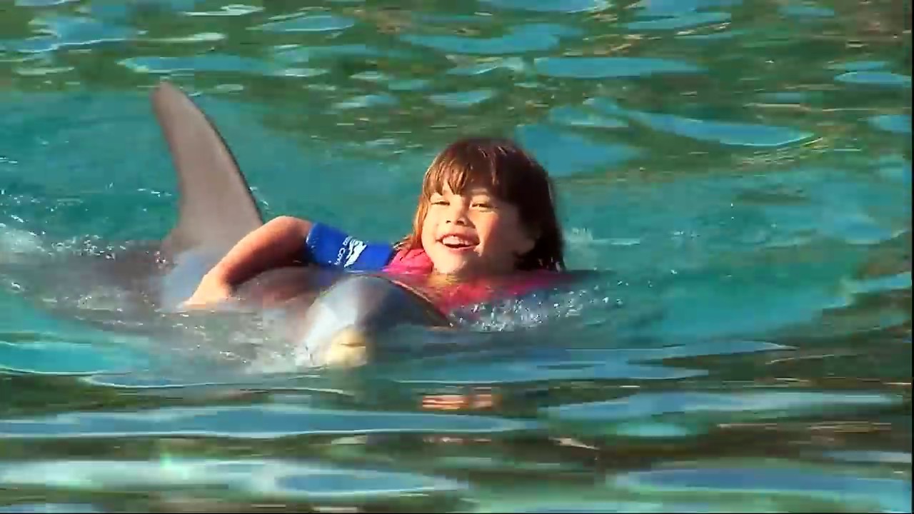 This Is Emily Yeung Swimming With Dolphins - YouTube