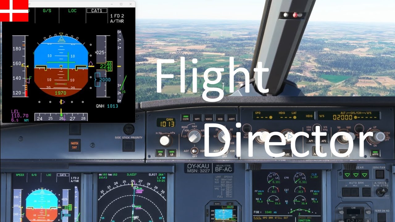 Flight Director - YouTube