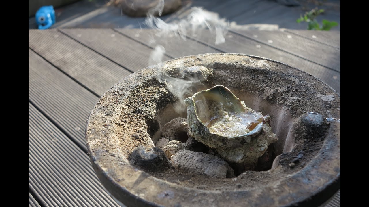 【七輪】さざえのつぼ焼き | Grilled turban shell - YouTube