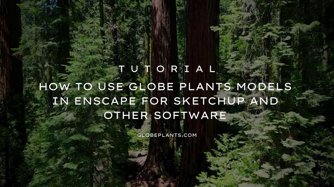 Bring Your Renders to Life! Using Globe Plants in Enscape | Quick ...