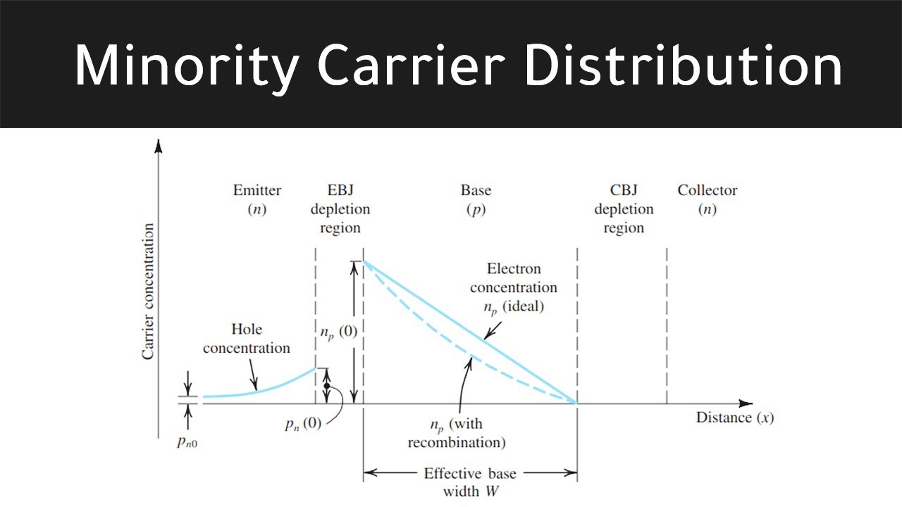 Minority Carrier Distribution in bjt - YouTube