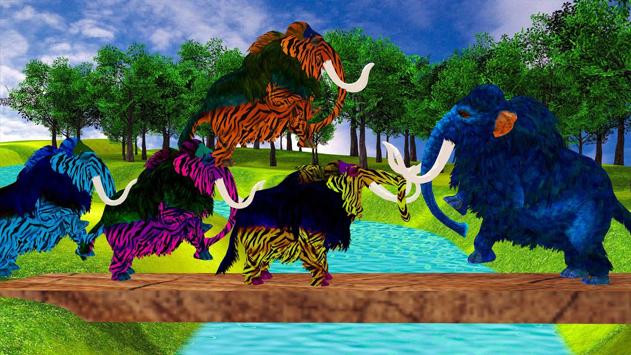Tiger Woolly Mammoth Vs Elephant Mammoth Attack Wild Animals - YouTube