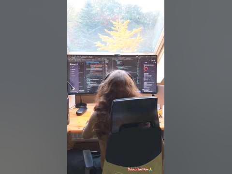 coding motivation 🧠👩‍💻⚡| software engineer |#codinglife @ #brilliantdeveloper - YouTube