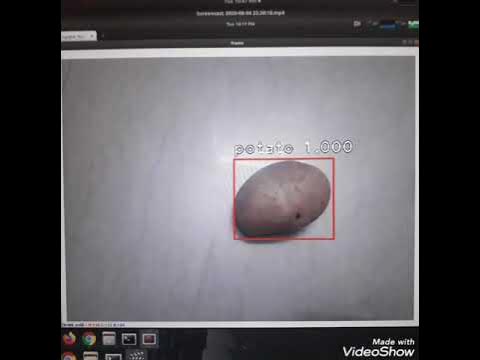 Multiple Object Detection | Pytorch | RetinaNet- ResNet101 - YouTube