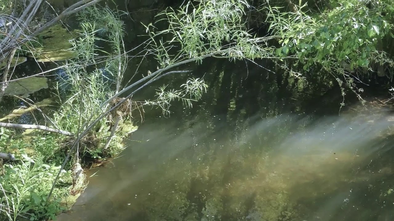 S T O N E Paranormal Historic Sites Hooper Springs Id - YouTube