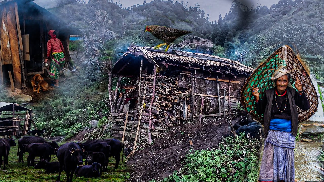 the most Peaceful of Rural Nepali Mountain beautiful a ||aorganic - YouTube