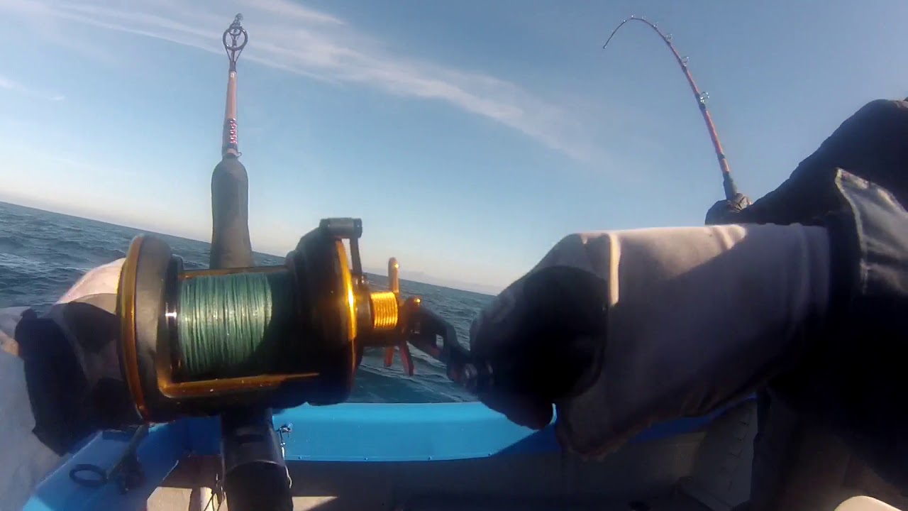 Monterey Bay Lingcod Fishing - YouTube