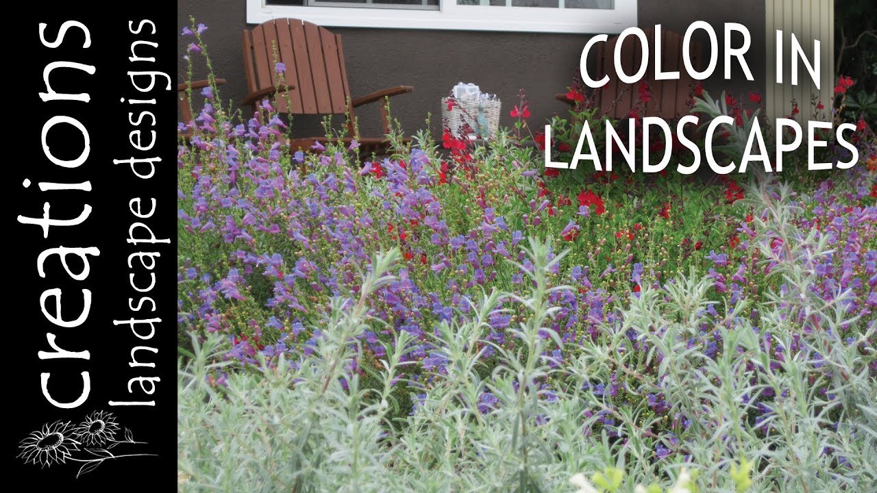 Top 5 Ways To Add Color To Your Landscape - YouTube