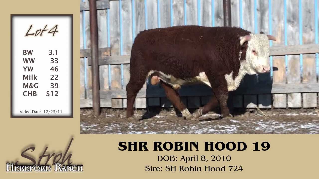 Lot 4: SHR ROBIN HOOD 19 - YouTube