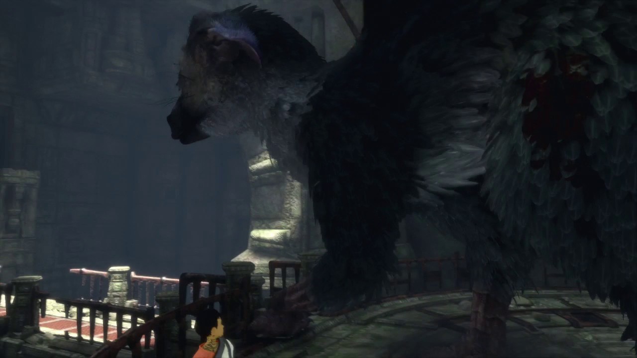 The Last Guardian [PS4] Adventures with BirdDogDragon (Part 6) - YouTube
