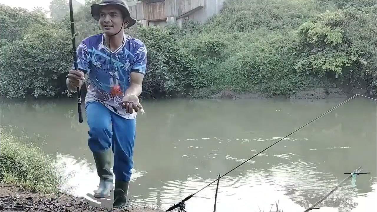 Memancing Sambil Menunggu tajur, #fishing #mancing #nilem #nilembabon #wader #waderbabon#ikan ...