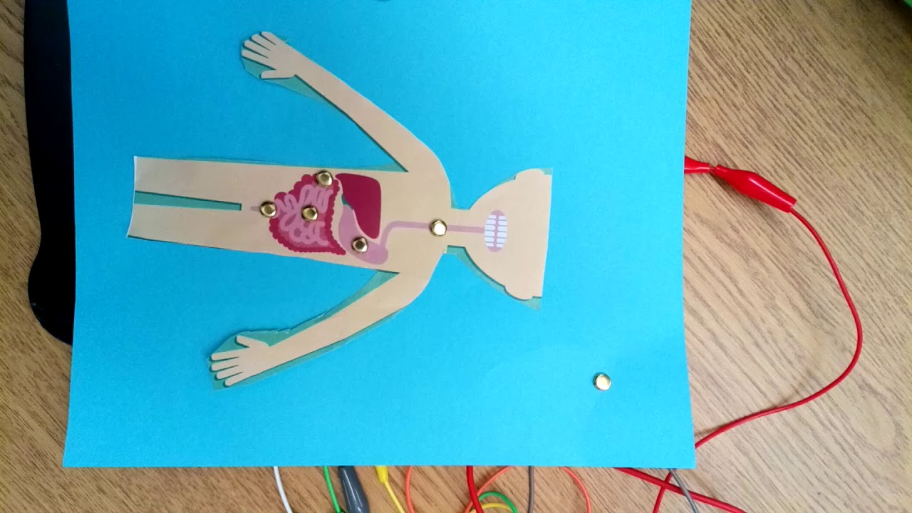 Digestive System Makey Makey - YouTube