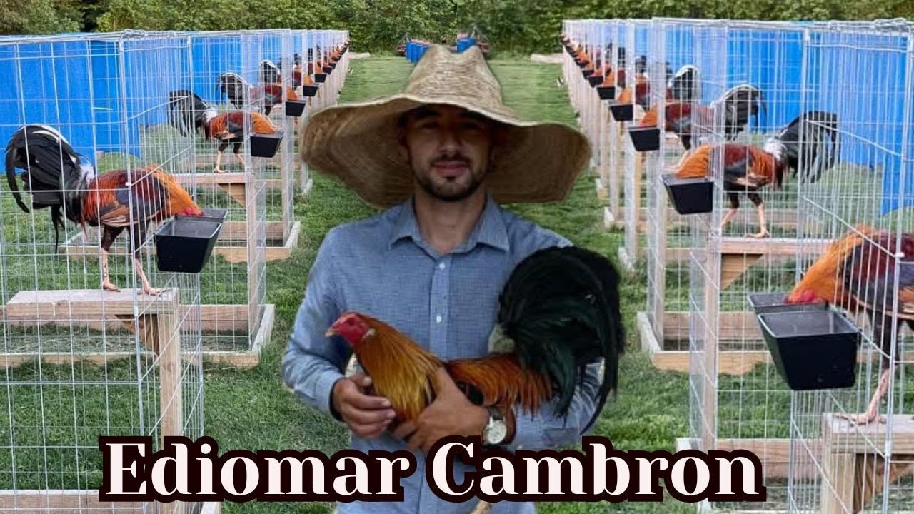 Breeding Pens Ediomar Cambron Farm - YouTube