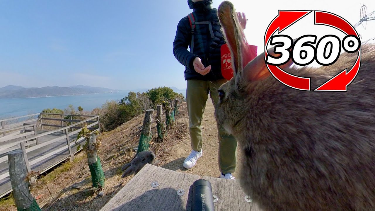 VR 360° | Rabbit “It’s a nice view.” - YouTube