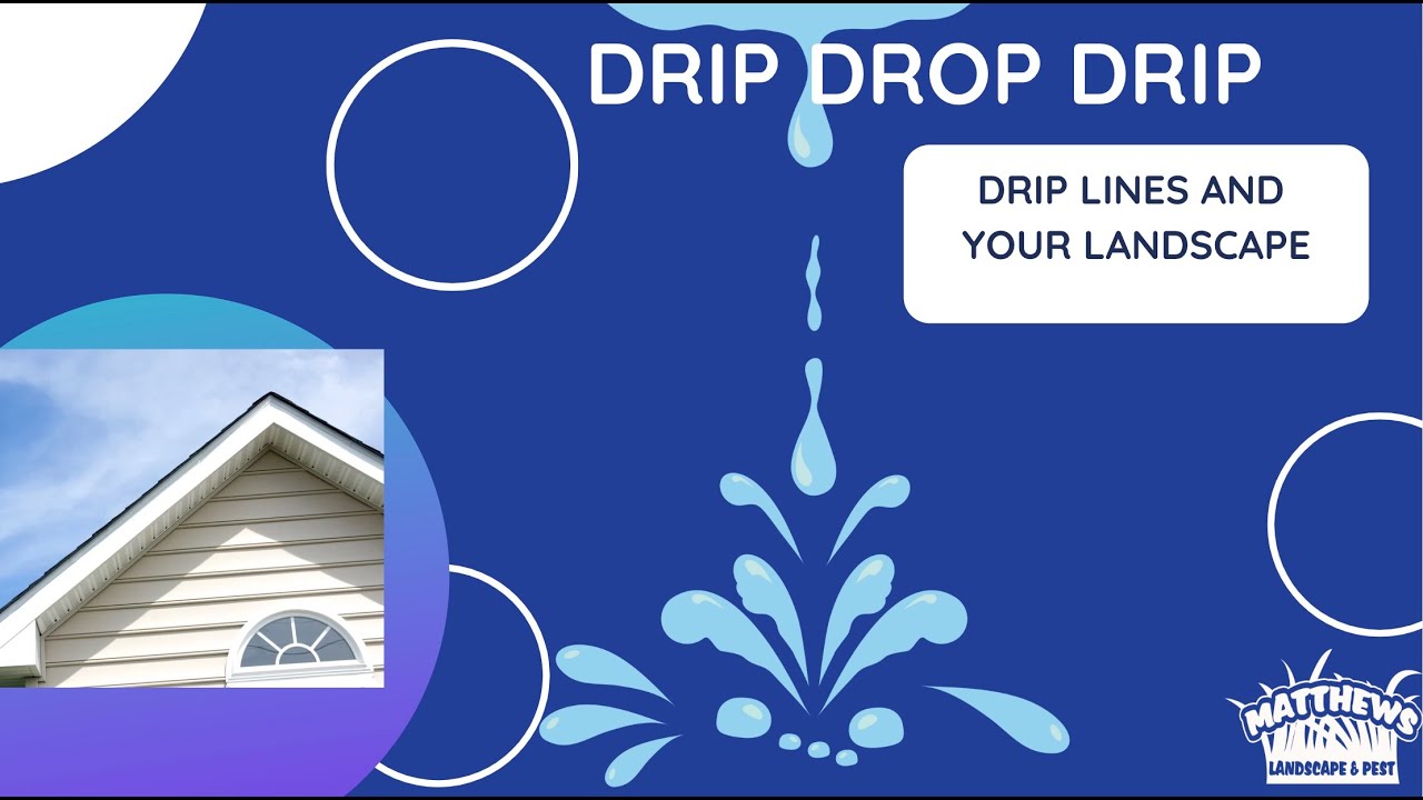 Drip Drop Drip: Drip Lines And Your Landscape - YouTube