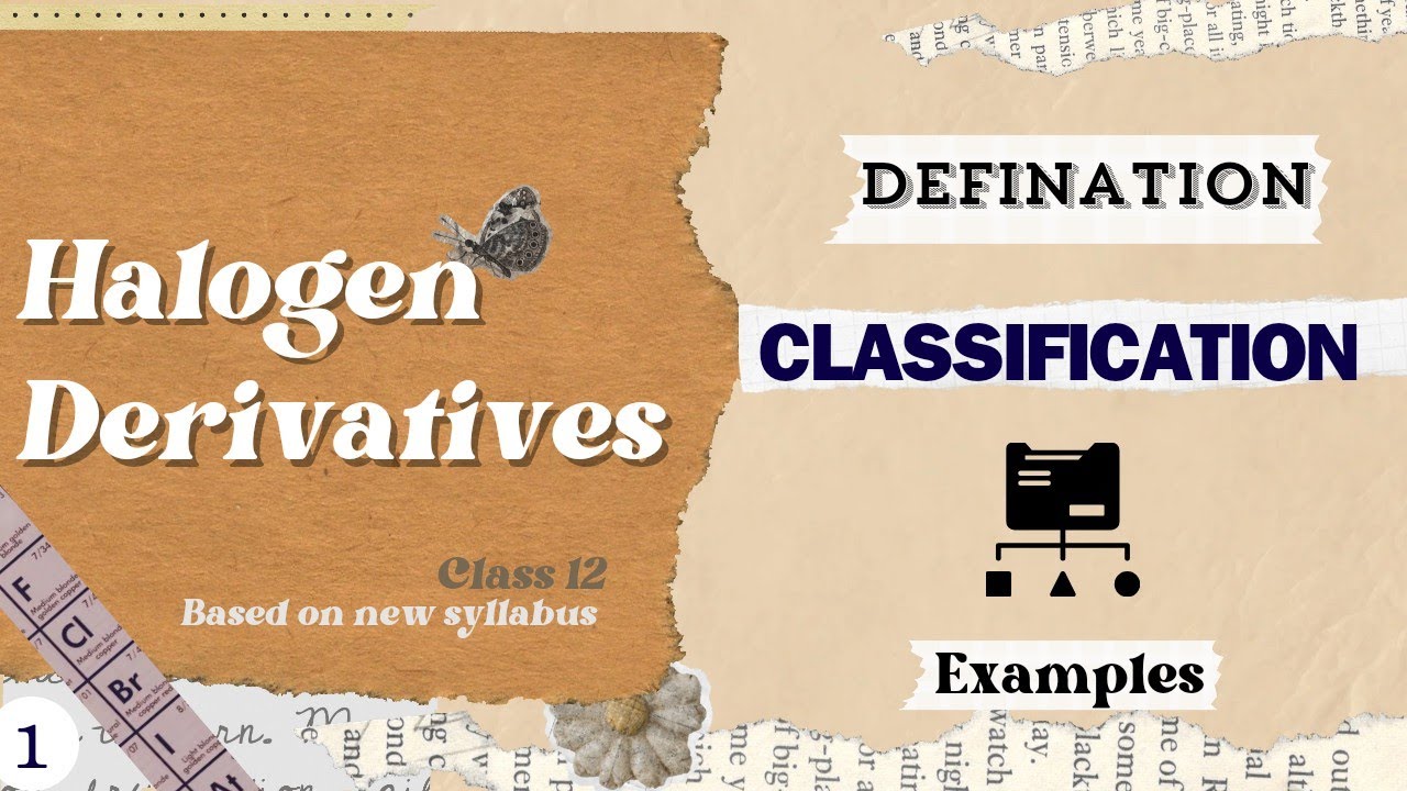 Quantifiers Definition With Example Youtube