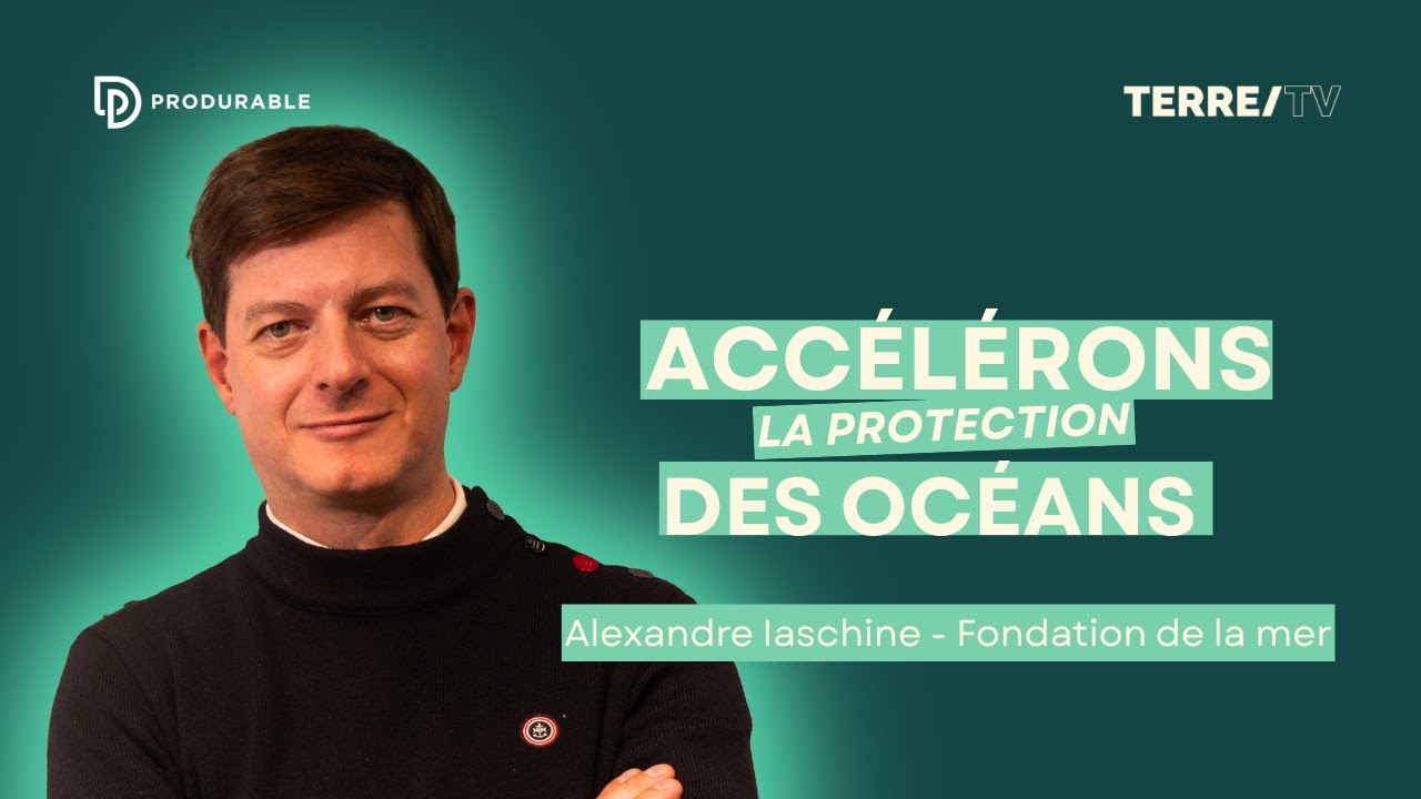 Accélérons la PROTECTION des OCEANS - YouTube