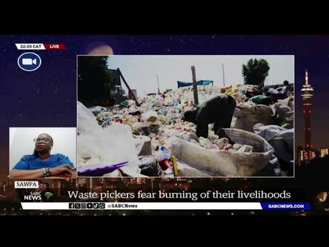 Recycling | Waste pickers fear livelihoods could be 'burned up ...