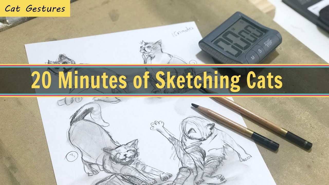 Let’s Sketch Cats For 20 minutes! | Remembering Jonesy - YouTube