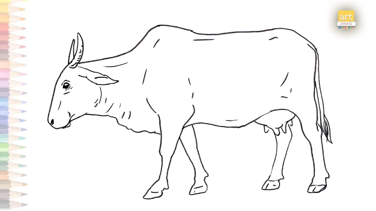 Cow | Milk Cow drawing | How to draw A Cow step by step | Easy cow ...