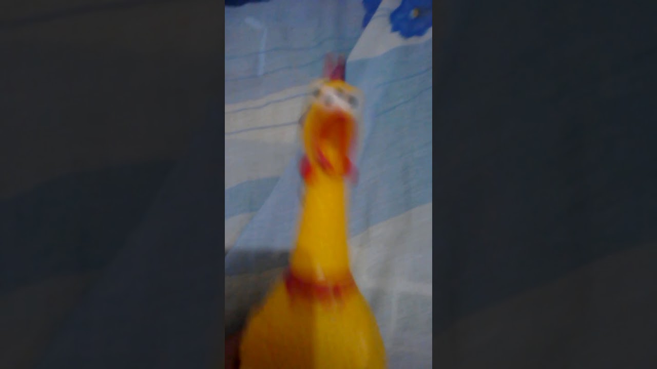 Singing Chicken - YouTube