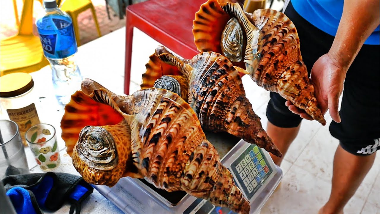 Vietnamese Street Food - GIANT ALIEN CONCH Seafood Vietnam - YouTube