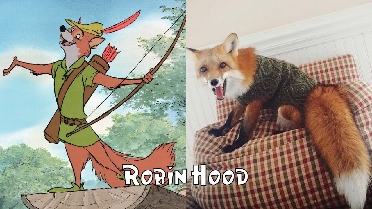Robin Hood Characters in Real Life 2022 - YouTube