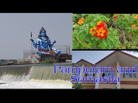Somasila and Pampuram a day vlog in my life ll telangana tourism ll ...